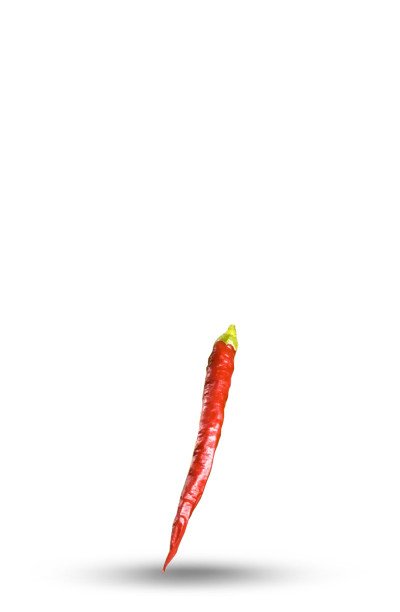 Quindilla Blanca Pepper Seeds - La Sauce Piquante