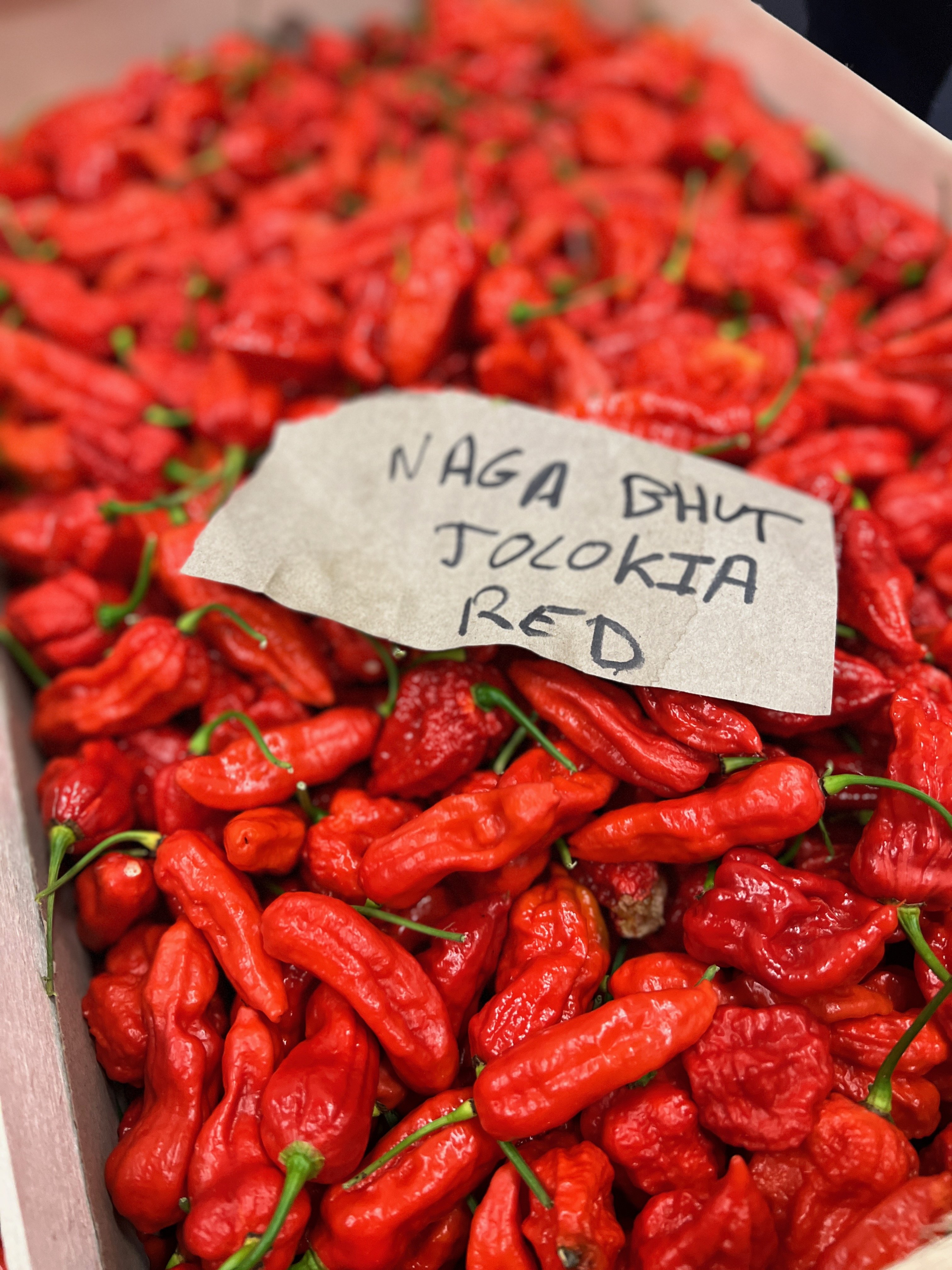 Naga Jolokia : un piment extrême originaire de l'Inde